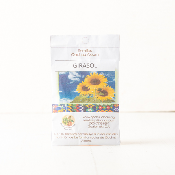 Semilla de Girasol – Cinco Azul