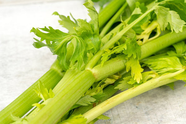 Baby Celery in Guatemala at home – Cinco Azul