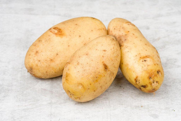 Papa in Guatemala at home – Cinco Azul