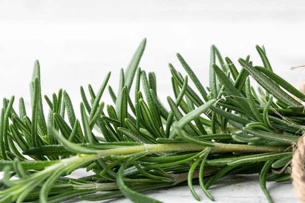 Romero en Guatemala a domicilio – Cinco Azul